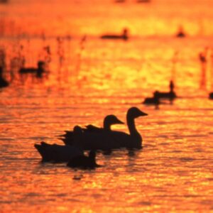 Nearby Attractions | Mmabatho Palms